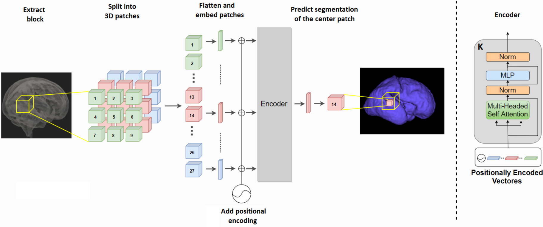 (2021)Convolution-Free Medical Image Segmentation using Transformers